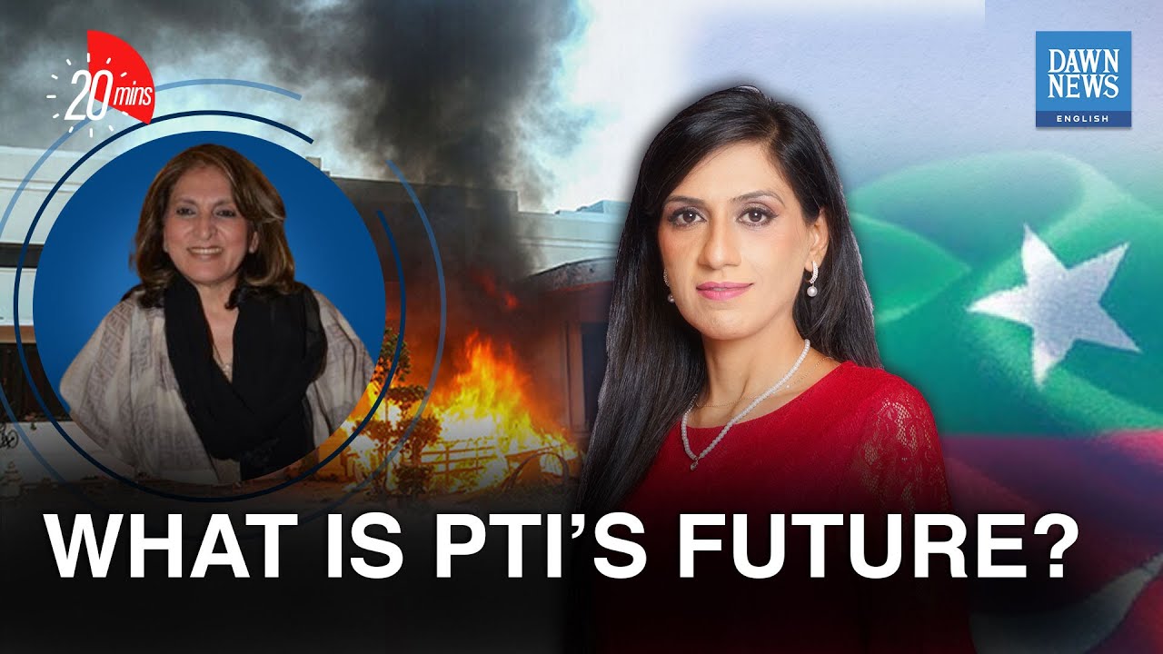 “PTI Using Overseas Pakistanis To Malign Country’s Institutions” | 20 ...