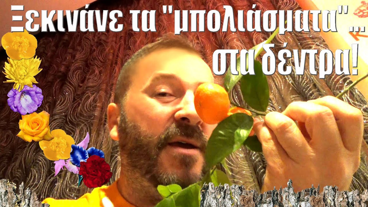 ΞΕΚΙΝΑΝΕ ΤΑ ΜΠΟΛΙΑΣΜΑΤΑ... ΠΑΡΤΕ ΣΕΙΡΑ!!!🤑 - YouTube