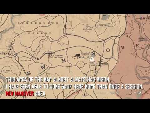 Red Dead Redemption 2 | Perfect "Large Game" Pelt Hunting [Bison] - YouTube