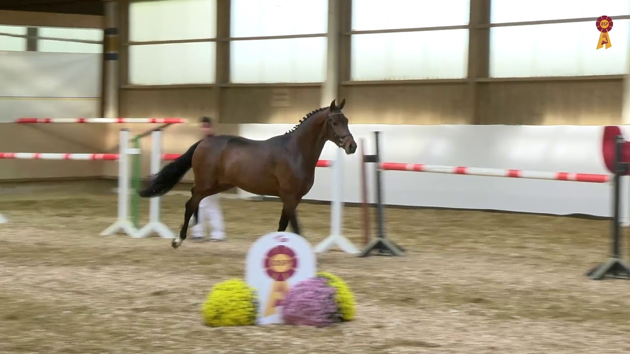 KN 58: Don Romanov x San Amour - YouTube