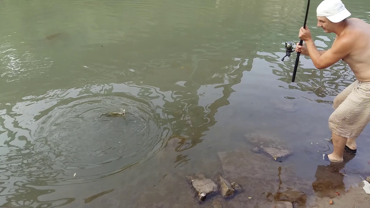 60.Keno i Huso ribolov Bolena, Asp, rijeka Bosna - YouTube