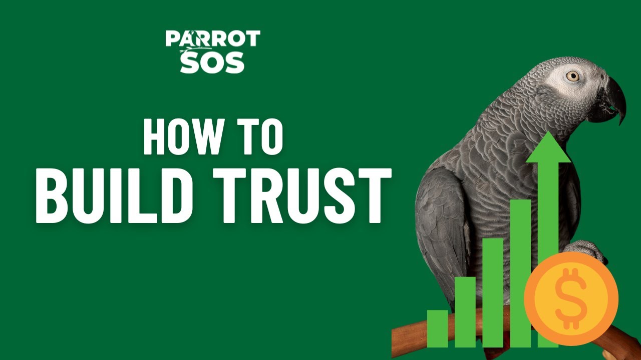 Unlocking Parrot Trust: The Bank Account Method for Building A Better ...