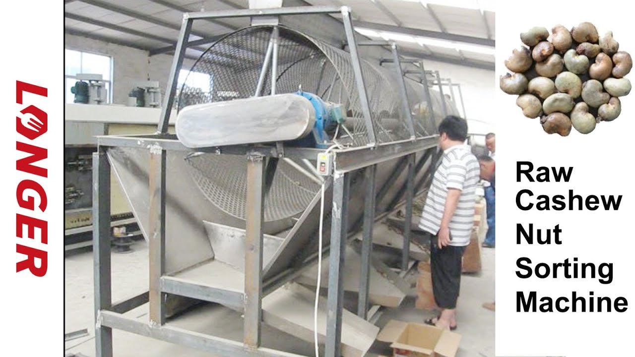 Raw Cashew Nut Size Sorting Grading Machine, Large Scale - YouTube