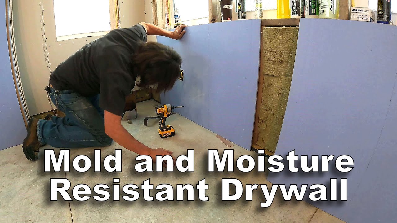 Starting The Mold And Moisture Resistant Drywall YouTube