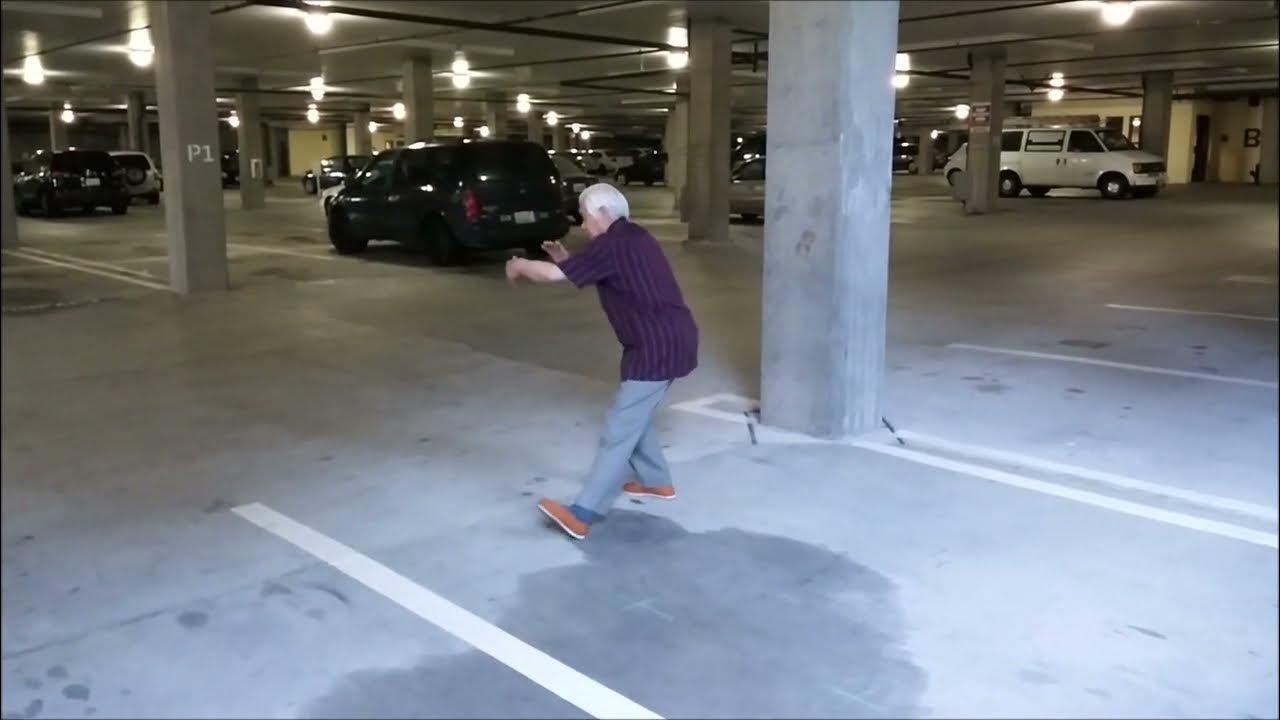 Yang Style Taijiquan Master Xie Bingcan Form (2014) - YouTube