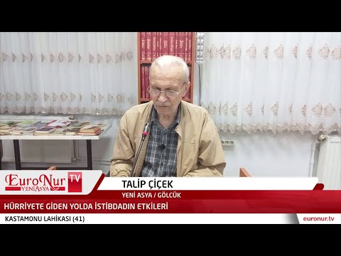 Talip Çiçek - Hürriyete giden yolda istibdadın etkileri