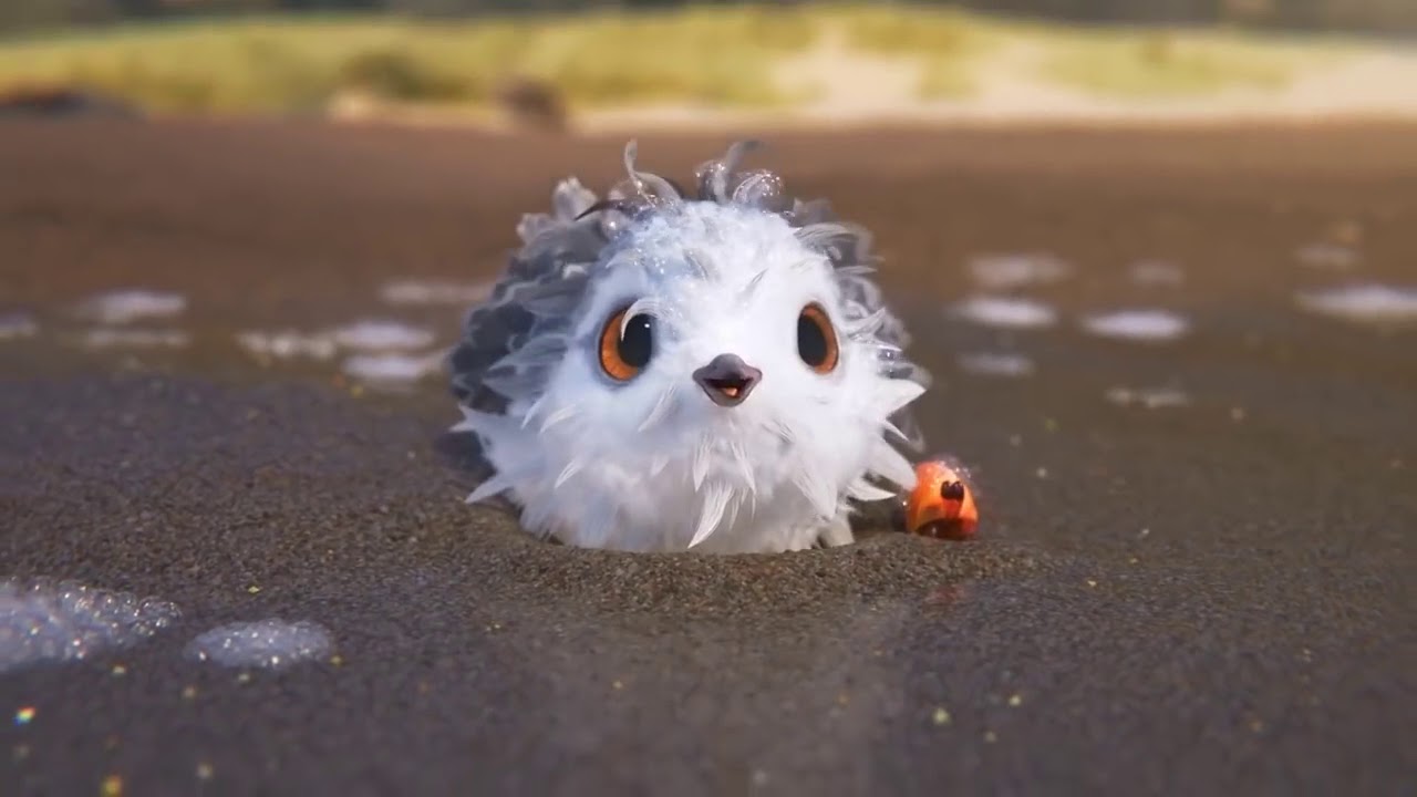 Piper Sea Bird - YouTube