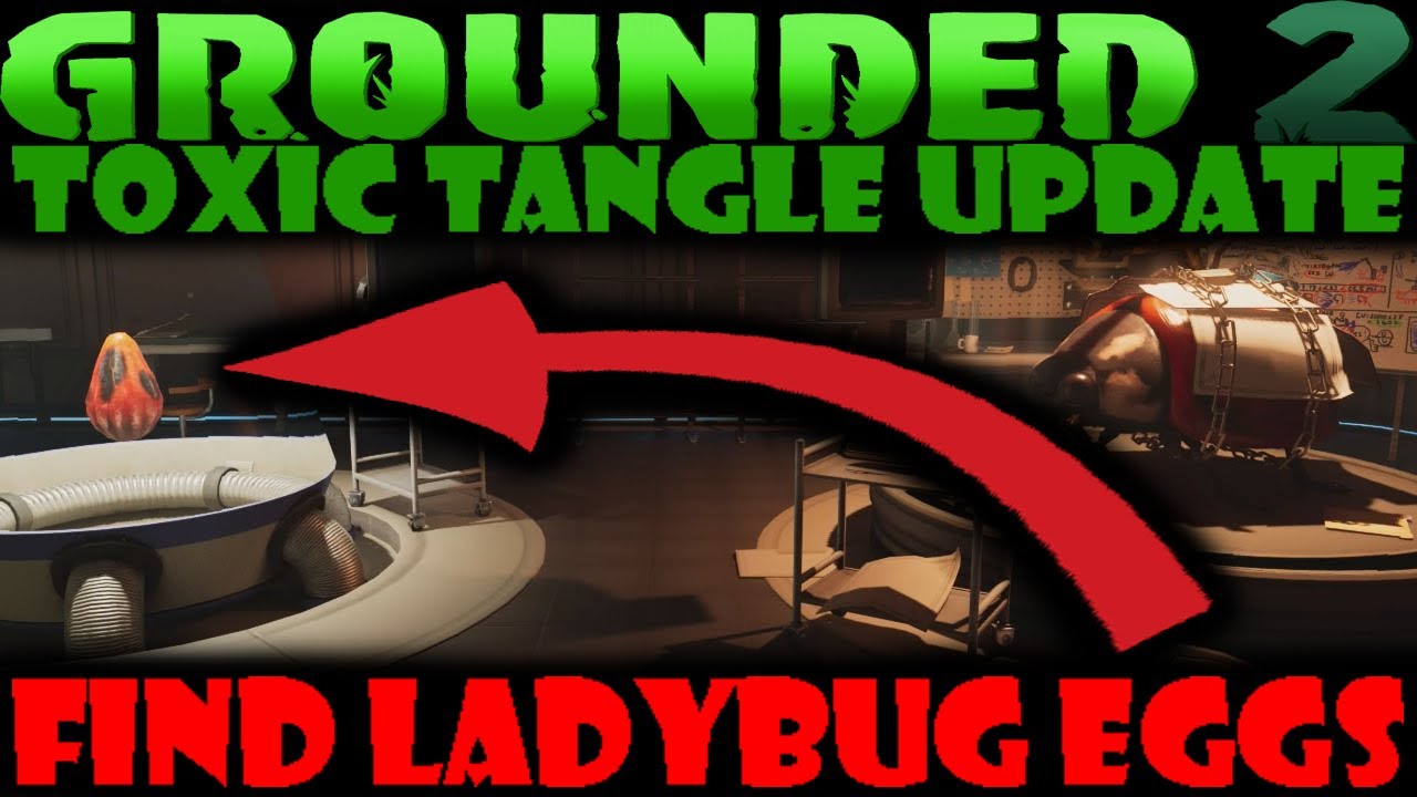 Where to FIND Ladybug Egg Grounded 2 Toxic Tangle Tutorial - YouTube