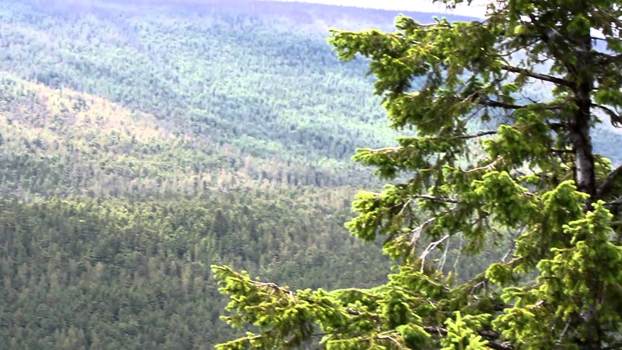 Clearwater Lake Hike, Wells Gray, BC - YouTube