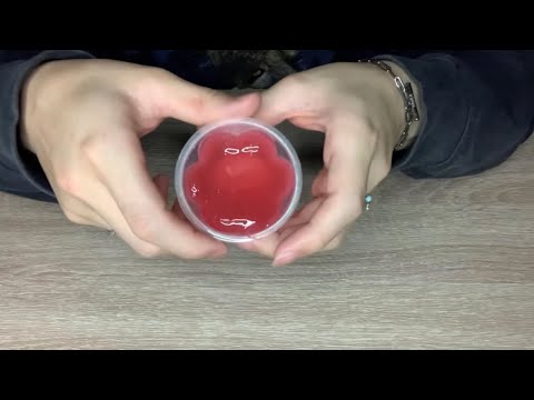 「ASMR」hand sounds 😴 - YouTube