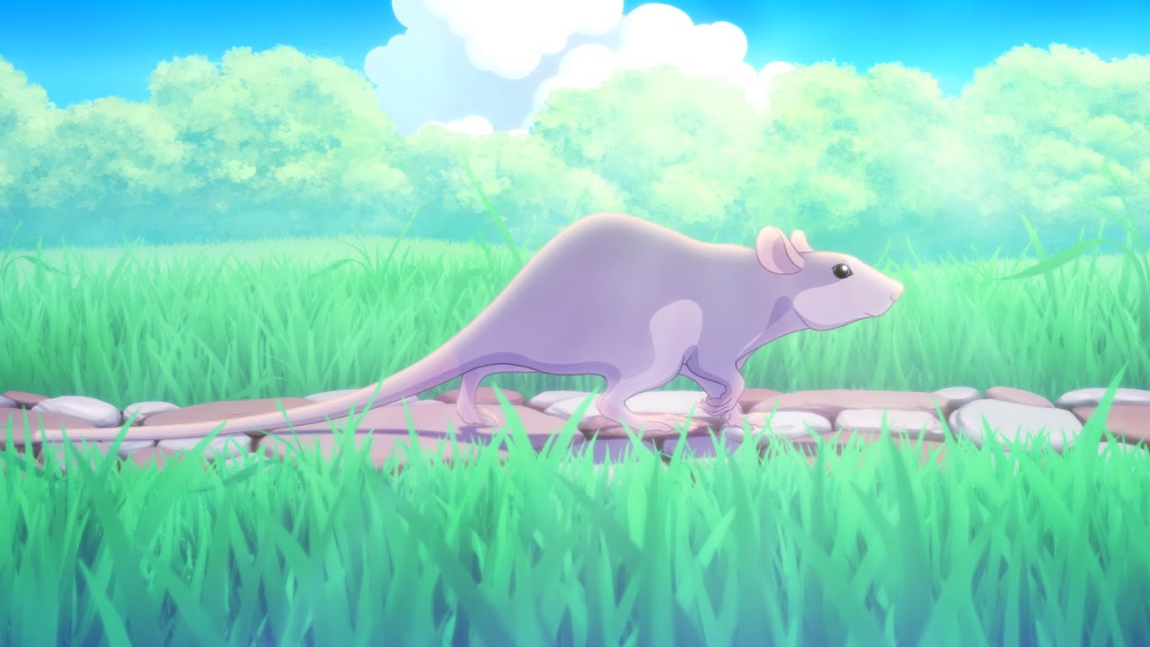 Rat Stroll - YouTube