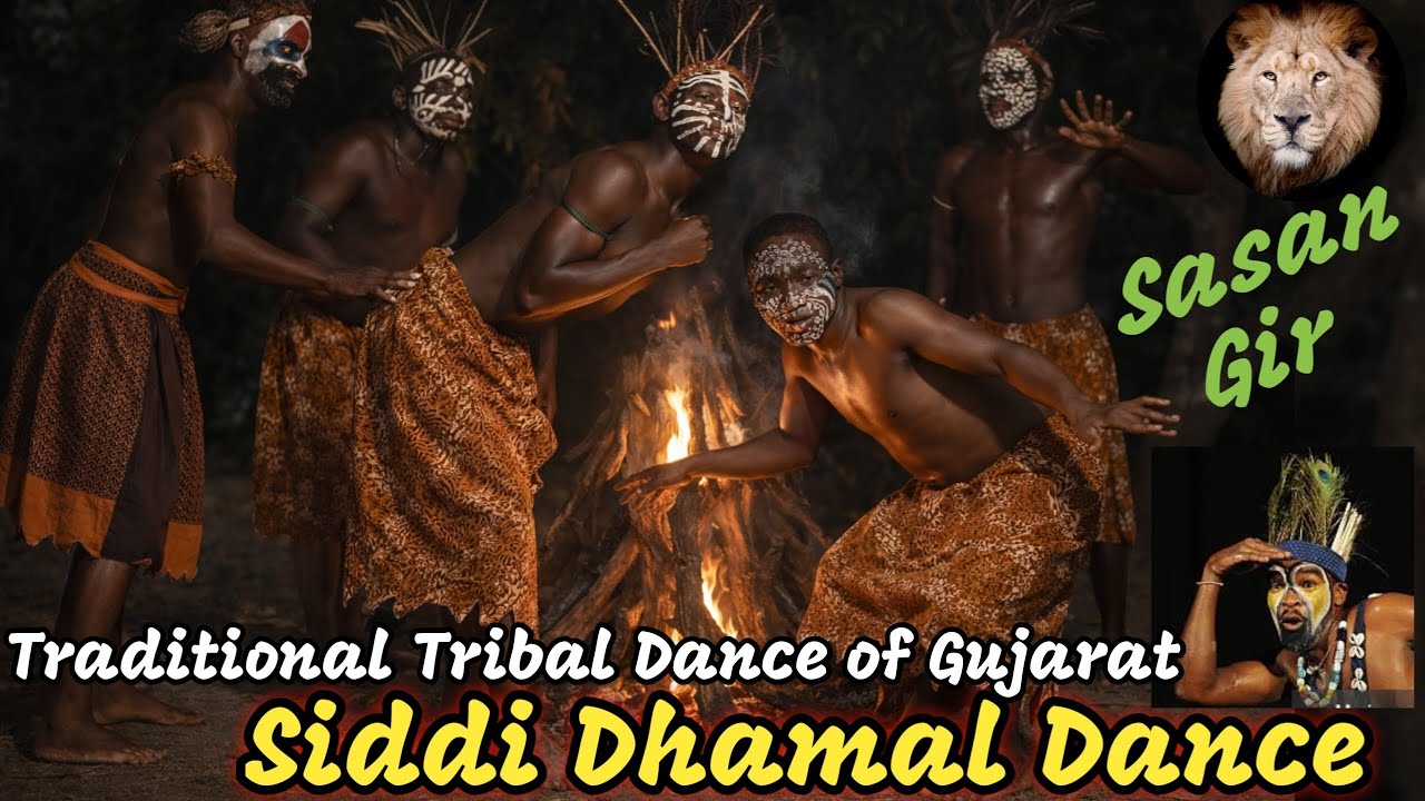 🔥 SIDDI DHAMAL DANCE Powerful Tribal Dance of Gujarat 🥁 || Sasan gir ...