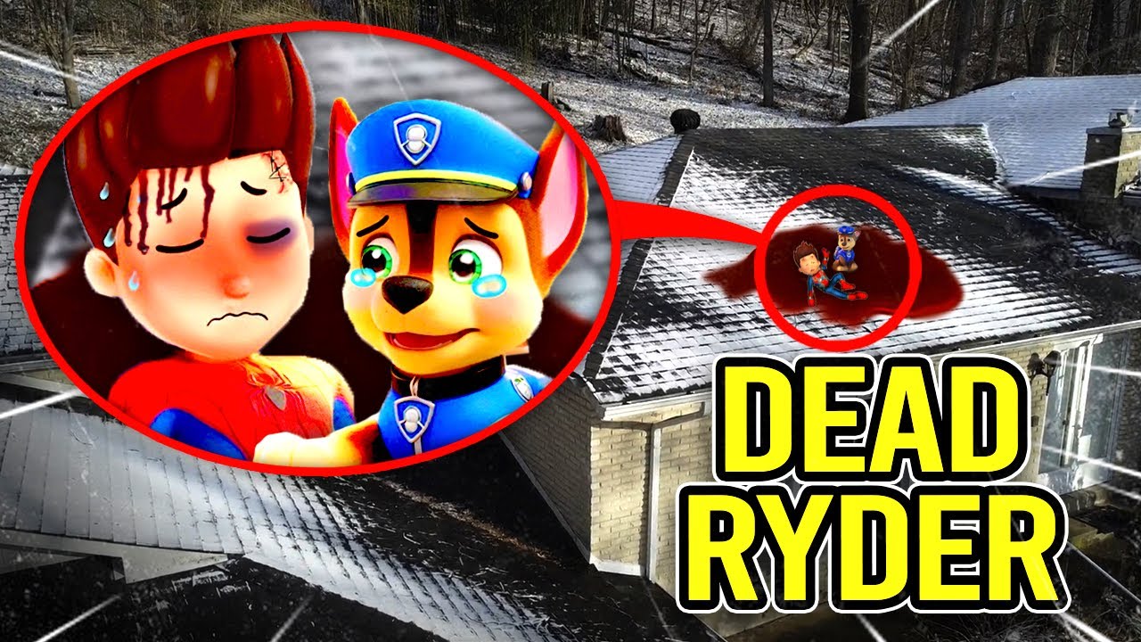 WHAT HAPPENED TO RYDER FROM PAW PATROL?! (CHASE CRIED) - YouTube