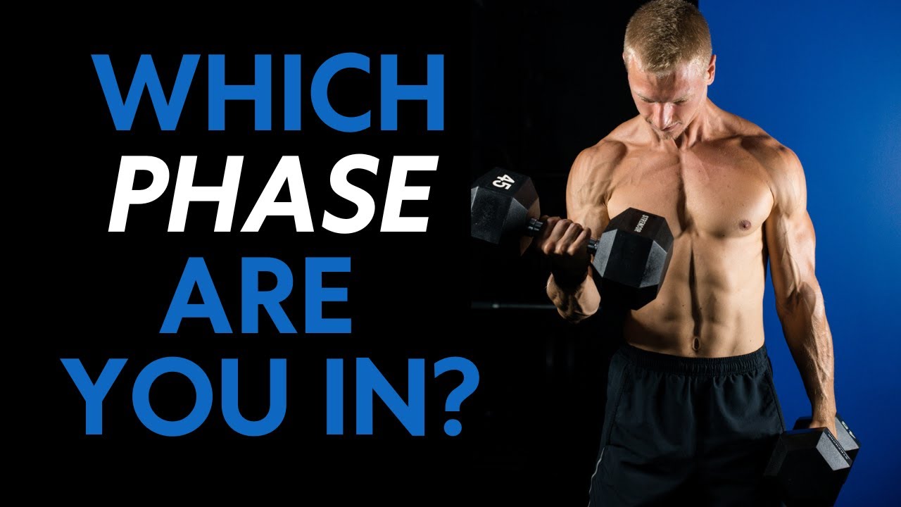 3 Essential Gym Phases That Shape Your Results - YouTube
