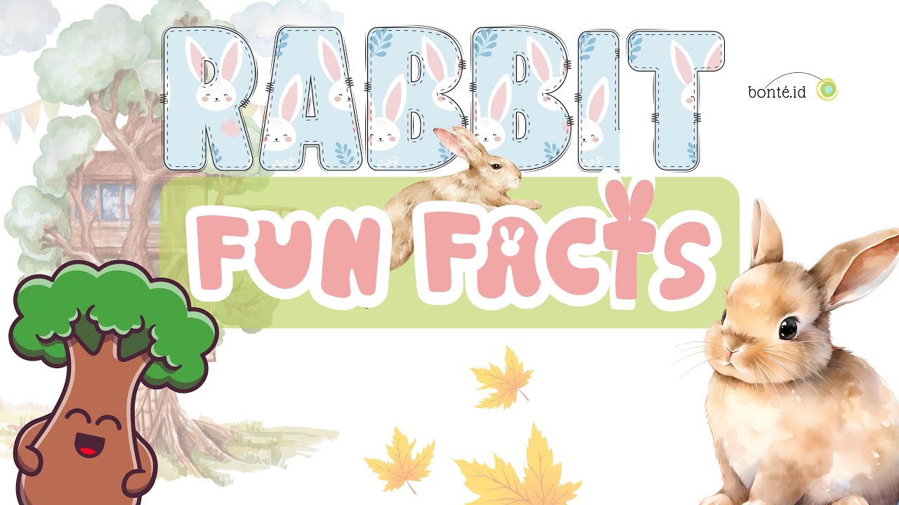 🐇 Different Kinds of Rabbits: Fun Facts for Kids | Preschool ...