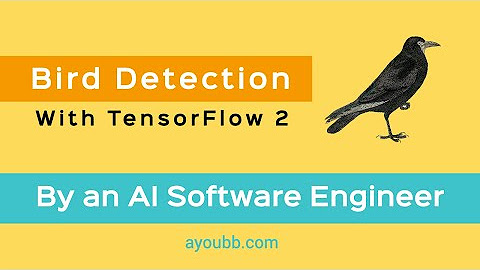 Mastering Object Detection: TensorFlow 2 Object (Birds) Detection API Tutorials - YouTube