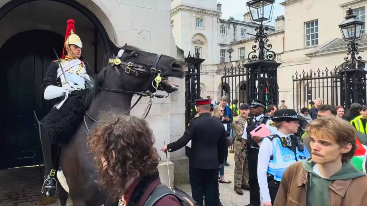 Armed Officers Swift Actions to Stop these Rude and Troublemakers ...