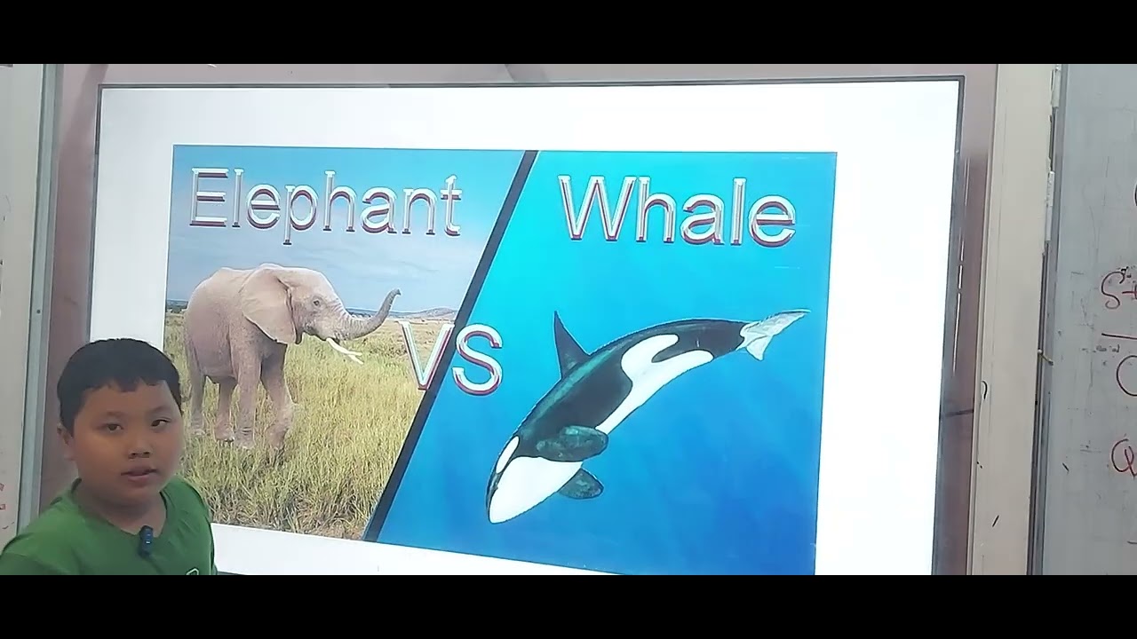 Billy Lâm - YouTube