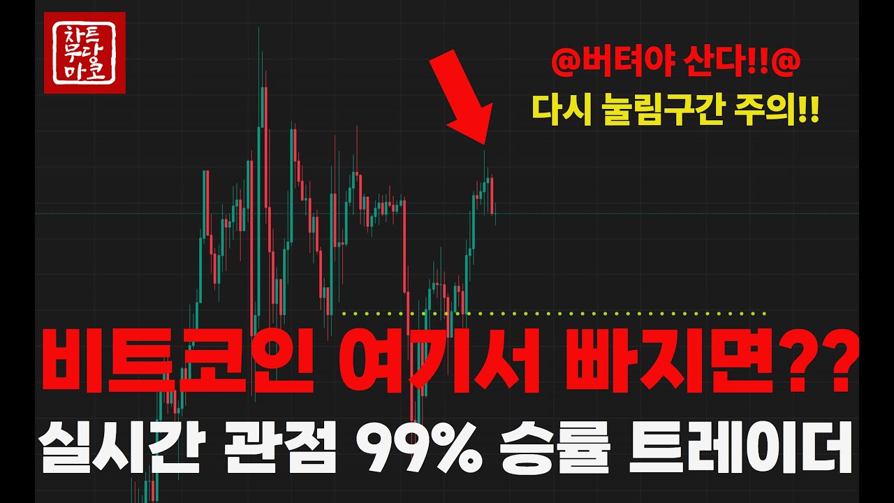 비트코인 여기서 못 버티면 다시 쌍바닥 보러갈 수 있습니다 1월 31일 오전 시황 마코 리플 이더리움 차트무당