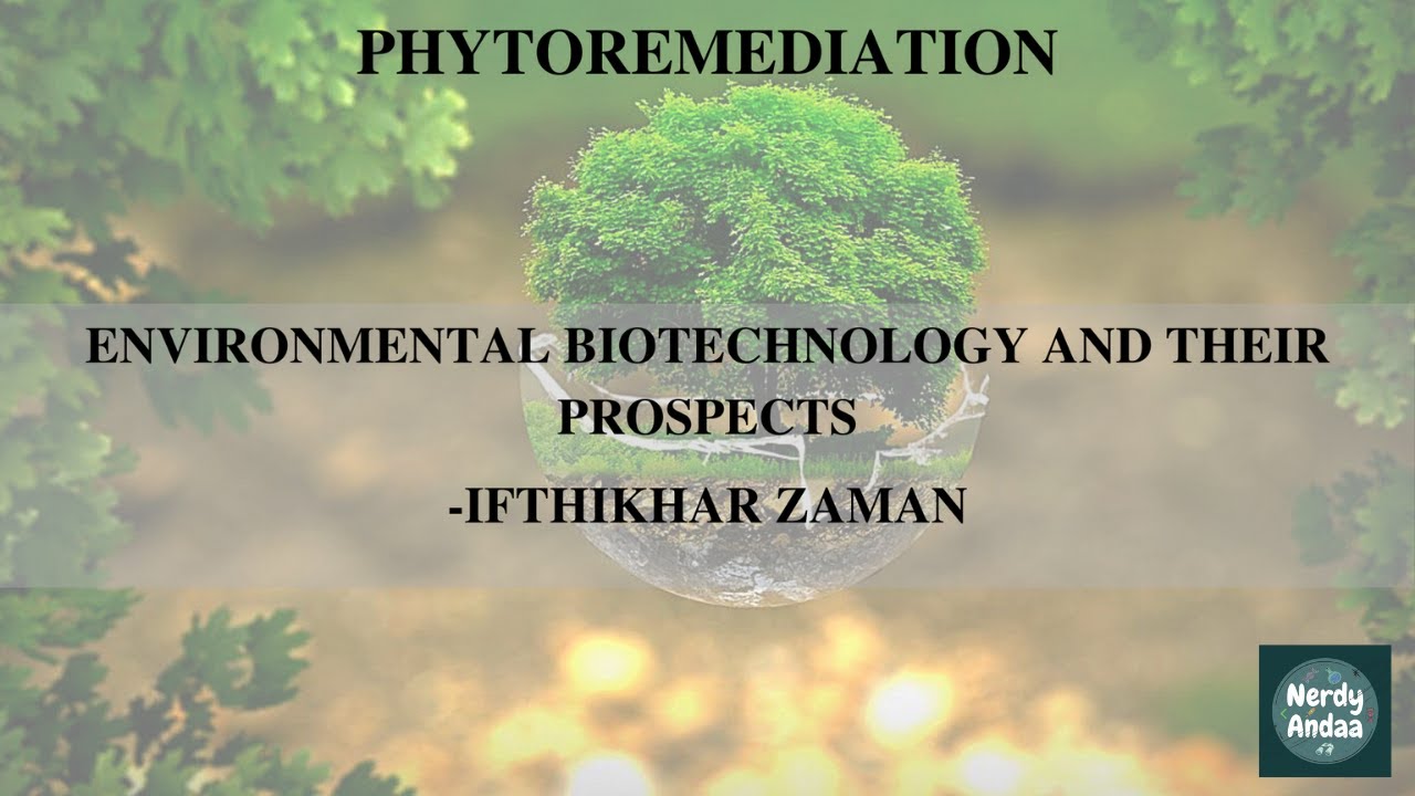 Phytoremediation Environmental Biotechnology Part 2b Nerdy Andaa Youtube