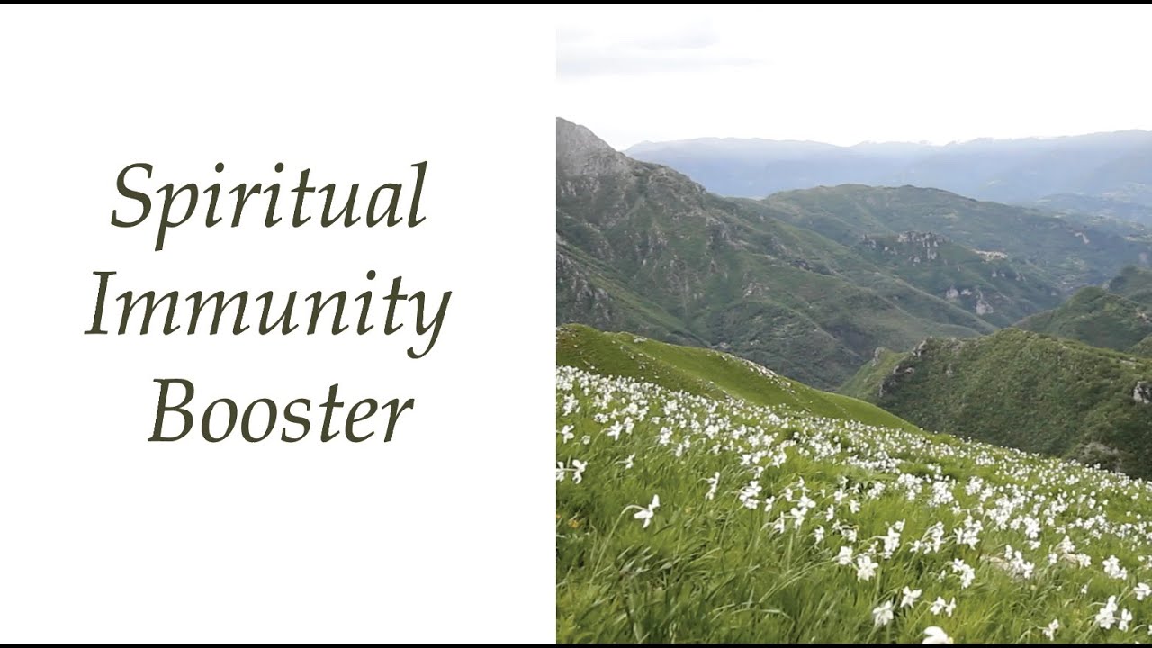 Spiritual Immunity Booster. Vibrational Medicine - YouTube
