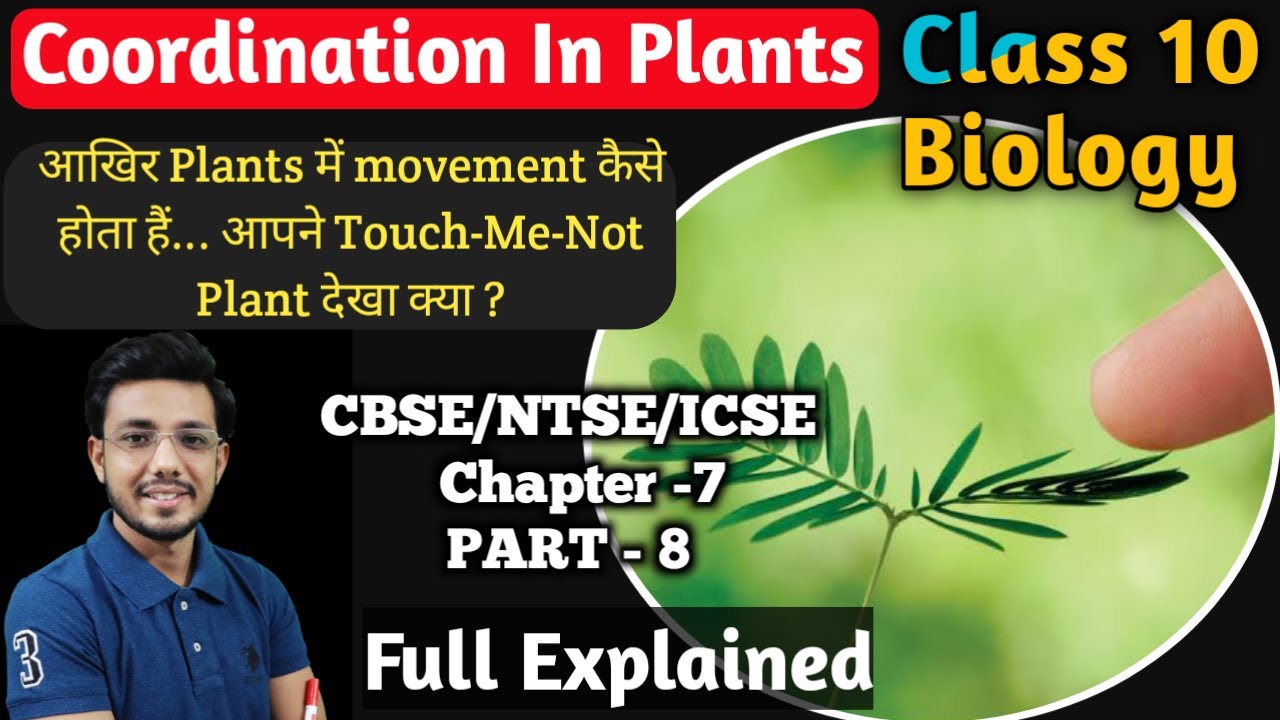 Coordination in plants | Control and Coordination | Class 10 Biology ...