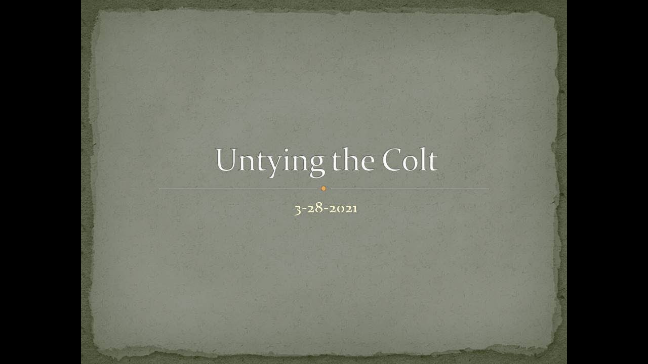 Untying the Colt 3-28-21 - YouTube