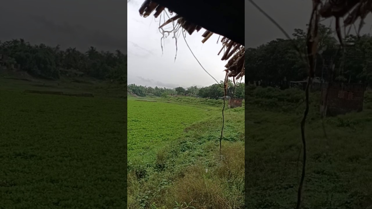 Beautiful rain place - YouTube