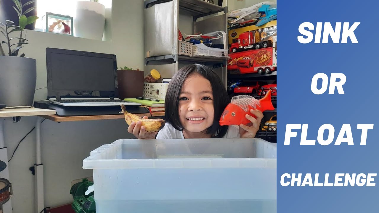 EASY DIY SCIENCE EXPERIMENT FOR KIDS ! SINK AND FLOAT CHALLENGE! - YouTube
