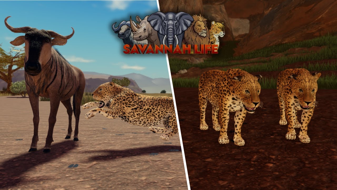 Leopard Hunting Everyone in Savannah Life ⏐ ROBLOX 🐆💫 PT3 - YouTube