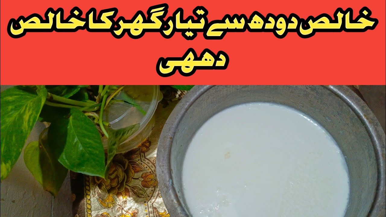 Ghar Ka Khalis Dahi | دھی گھر کا خالص | Doodh Se Tyar Ghar Ka Dahi ...