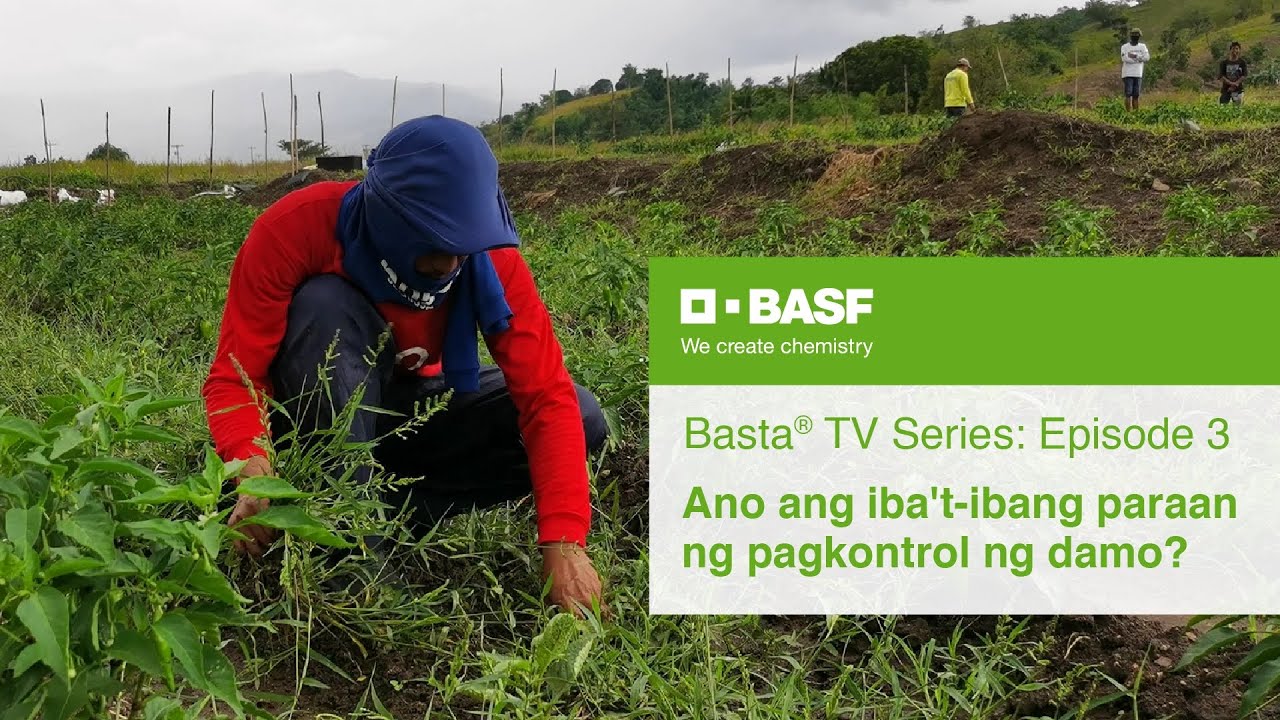 Ano ang iba’t-ibang paraan ng pagkontrol ng damo? BASTA® - YouTube