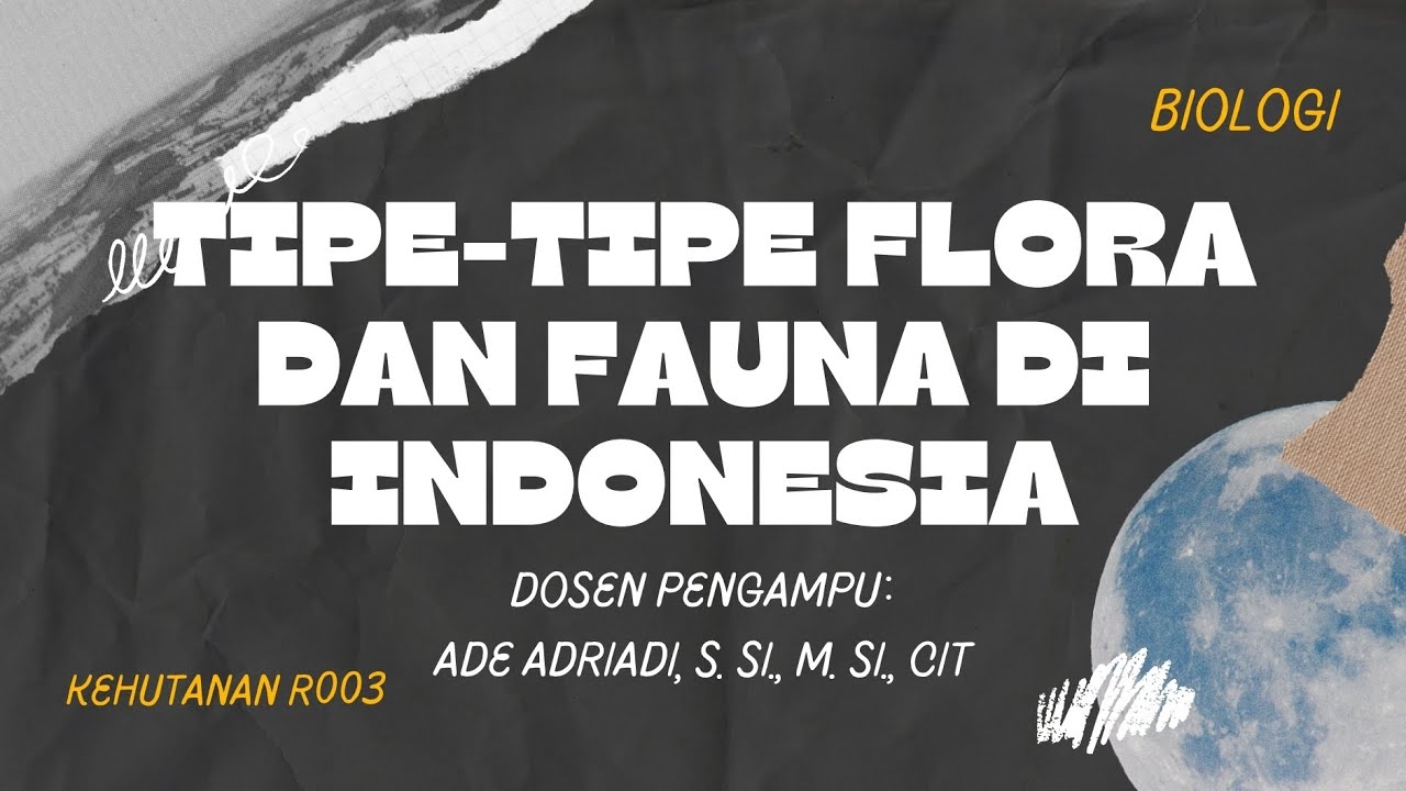 Tipe-tipe flora dan fauna di indonesia "Tugas Akhir" - YouTube