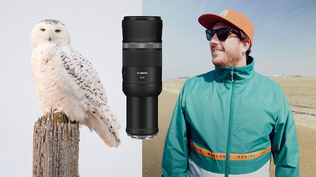 Bird Photography | Behind The Scenes Canon RF 600mm F11 Birding - YouTube