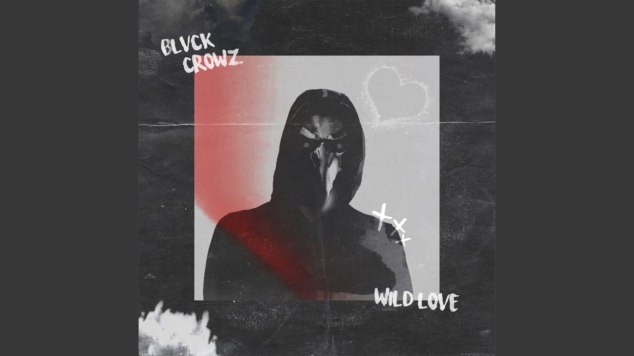 WILD LOVE - YouTube