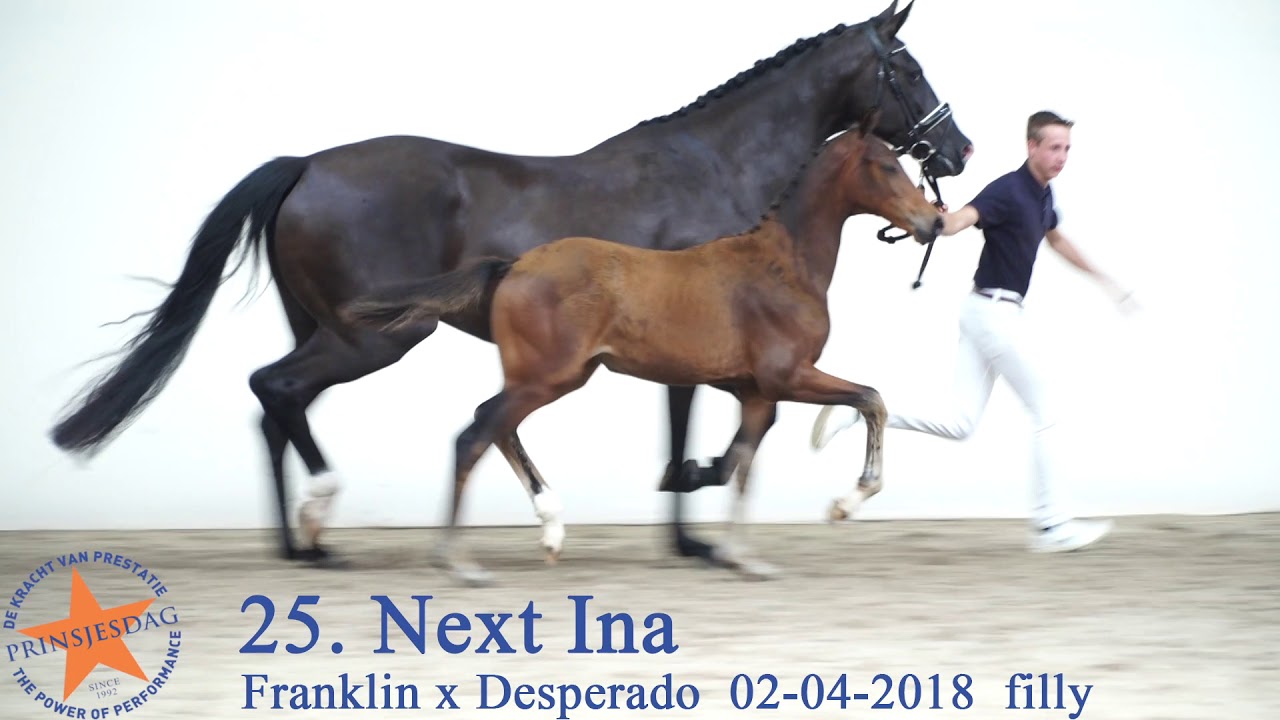 25 Next Ina v. Franklin x Desperado www.prinsjesdag.eu - YouTube