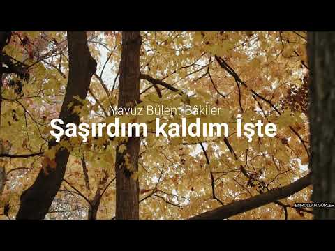 Yavuz Bülent BAKİLER | Şaşırdım Kaldım İşte