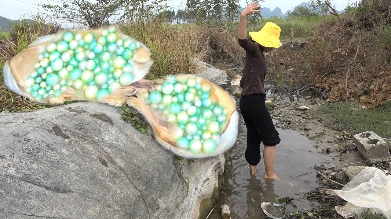 How to get beautiful green pearls, pick up shells under the stone, very ...