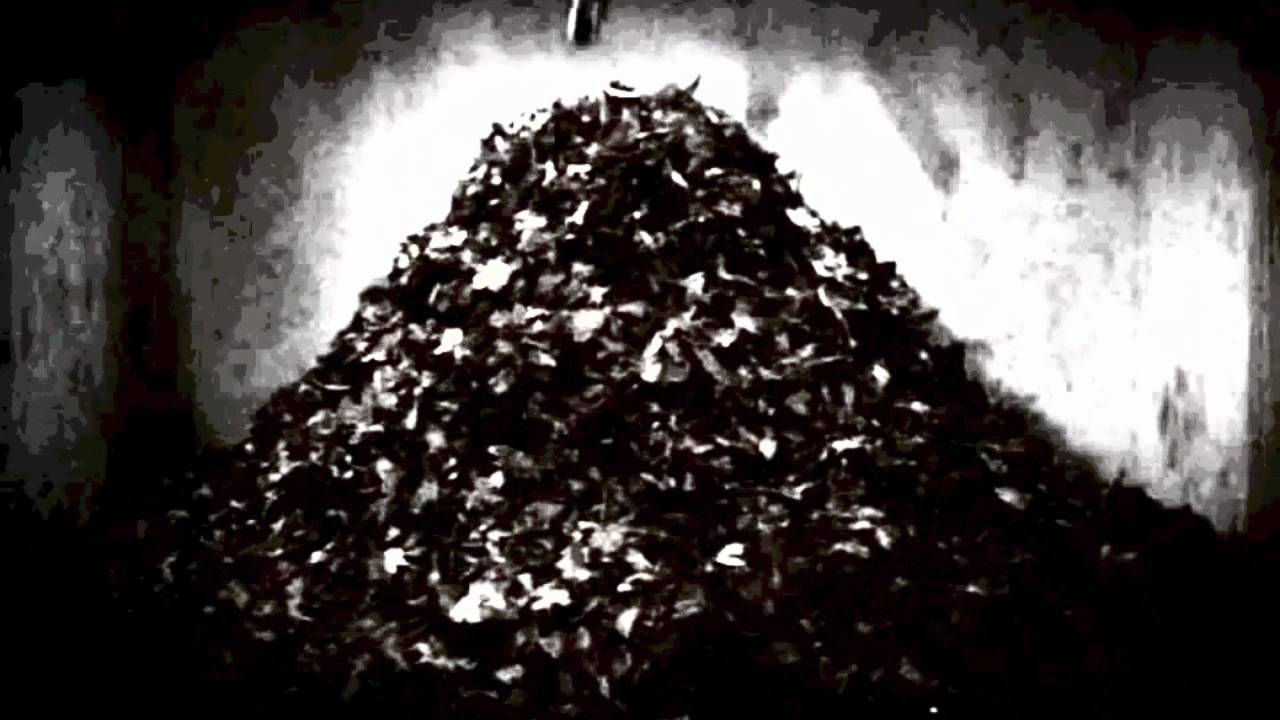 Morphelius presents ALICE - YouTube