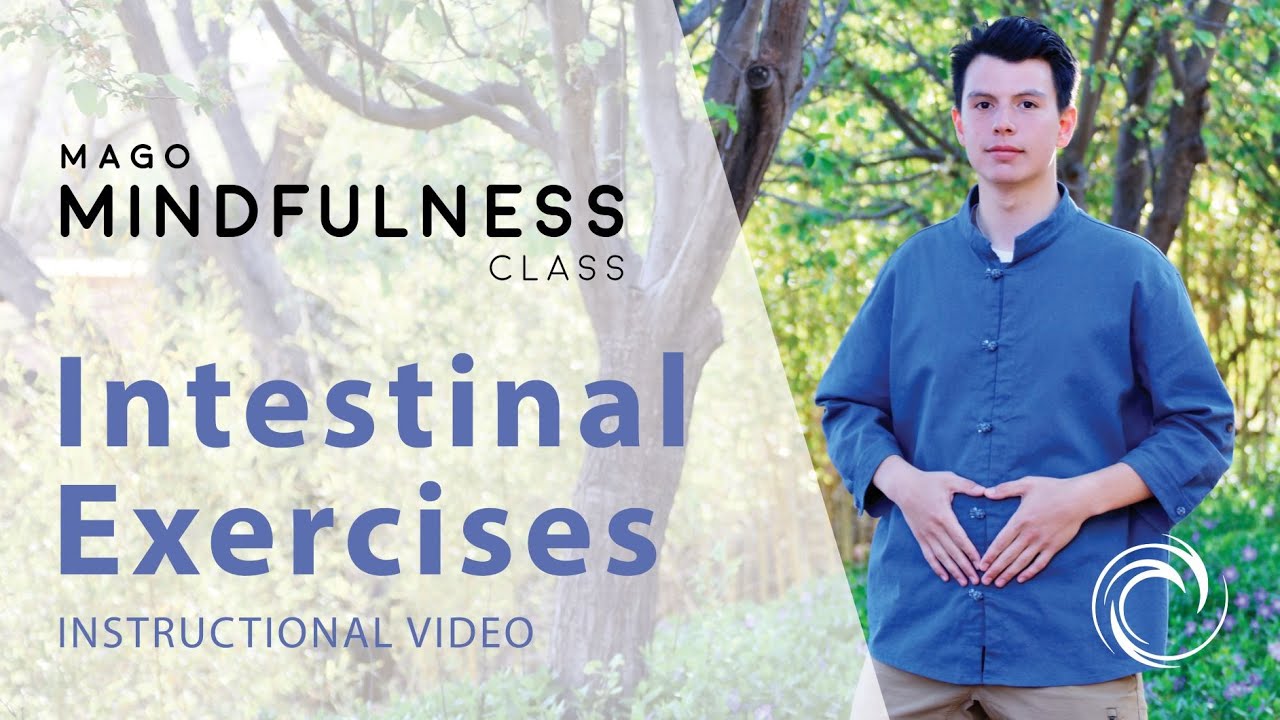 Improve Digestion: Intestinal Exercises | Mago Mindfulness Classes ...