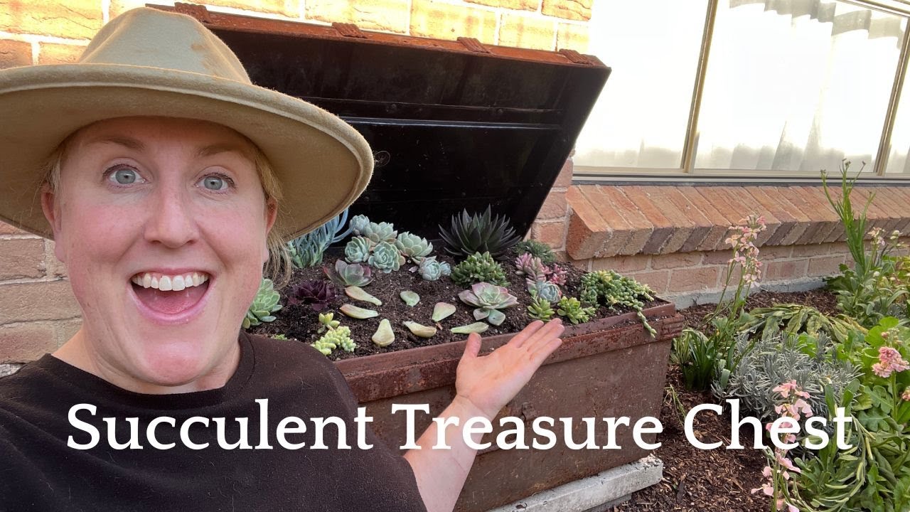 From Trash To Succulent Treasure Chest - YouTube