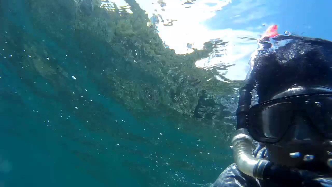 Keindahan bawah laut pulau cina bawean - YouTube