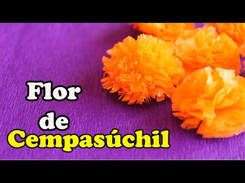 Huautli_Xocolatl. Aprendiendo a través de Nuestras Tradiciones ...