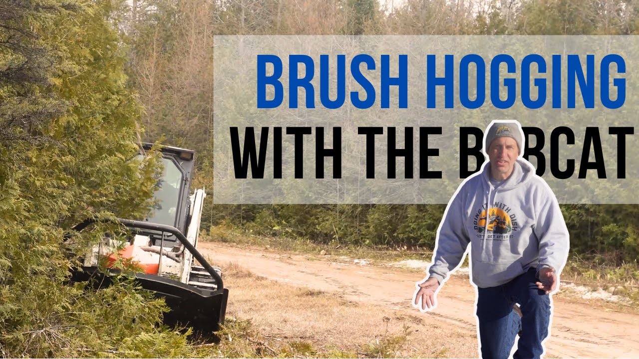 Brush Hogging My Buddy's Driveway with Bobcat Attachment! [Satisfying ...