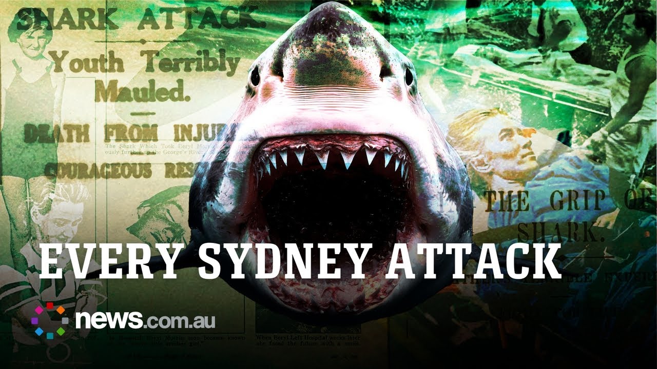 Every recorded shark attack in Sydney’s history - YouTube