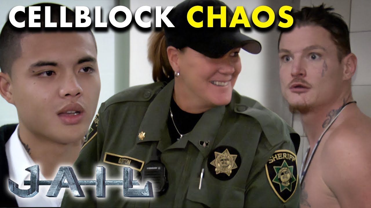 🚨 Cellblock Chaos: Altercations, Theft, Mugshot Antics | Jail TV Show ...