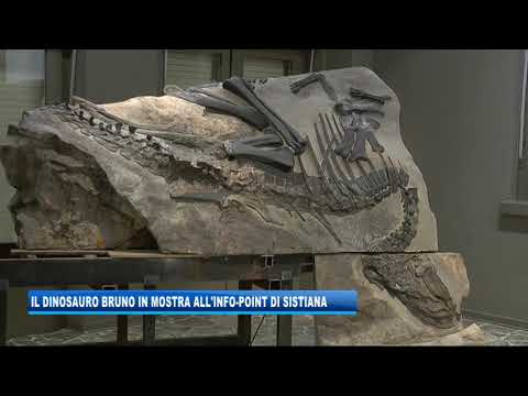 31/07/2018 - IL DINOSAURO BRUNO IN MOSTRA ALL'INFOPOINT DI SISTIANA ...