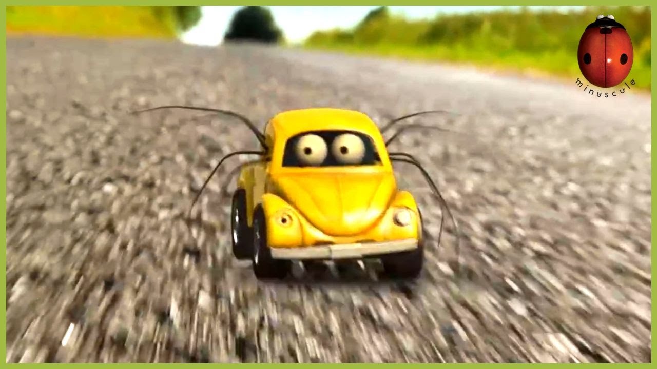 Mad fly | Minuscule 🍃 15' Compilation - YouTube