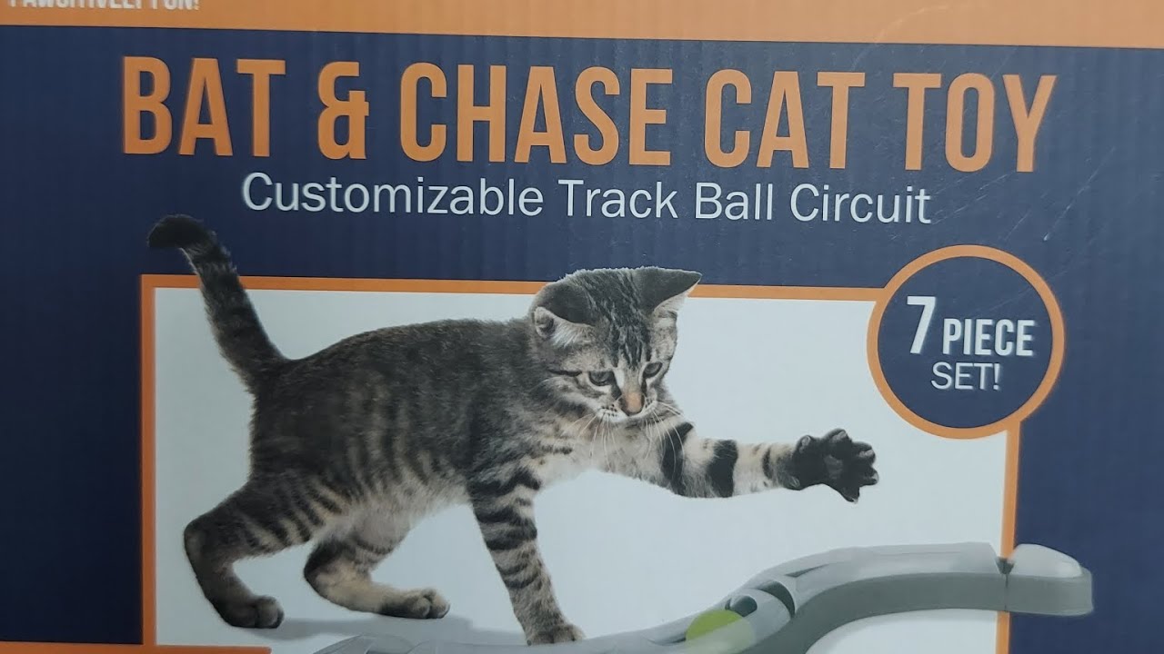 bat and chase cat toy unboxing from $5 below... - YouTube