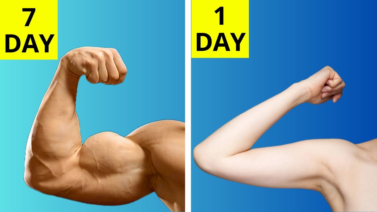 How To Pump ARMS | Exercises For ARMS | Best Home Workout For Your ARMS ...